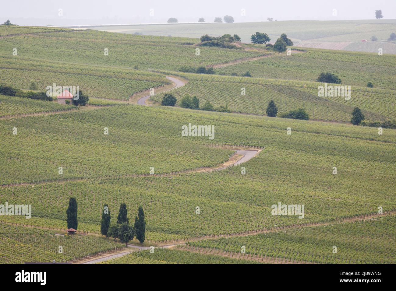Volkach, Germany. 03rd June, 2022. Paths wind through the vineyards in ...