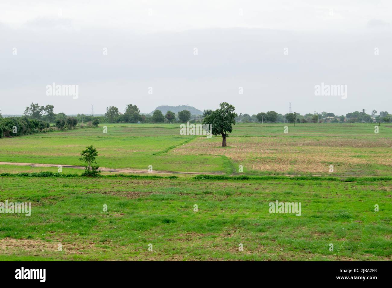 Tree decrease hi-res stock photography and images - Alamy