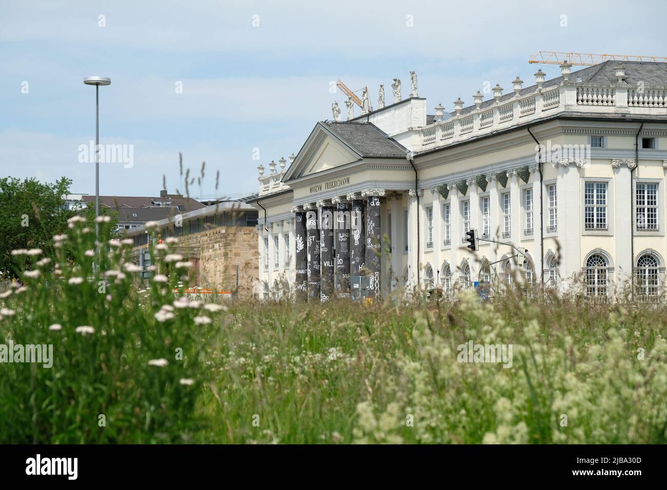 Kassel, Germany. 03rd June, 2022. View across a flowering meadow to the ...