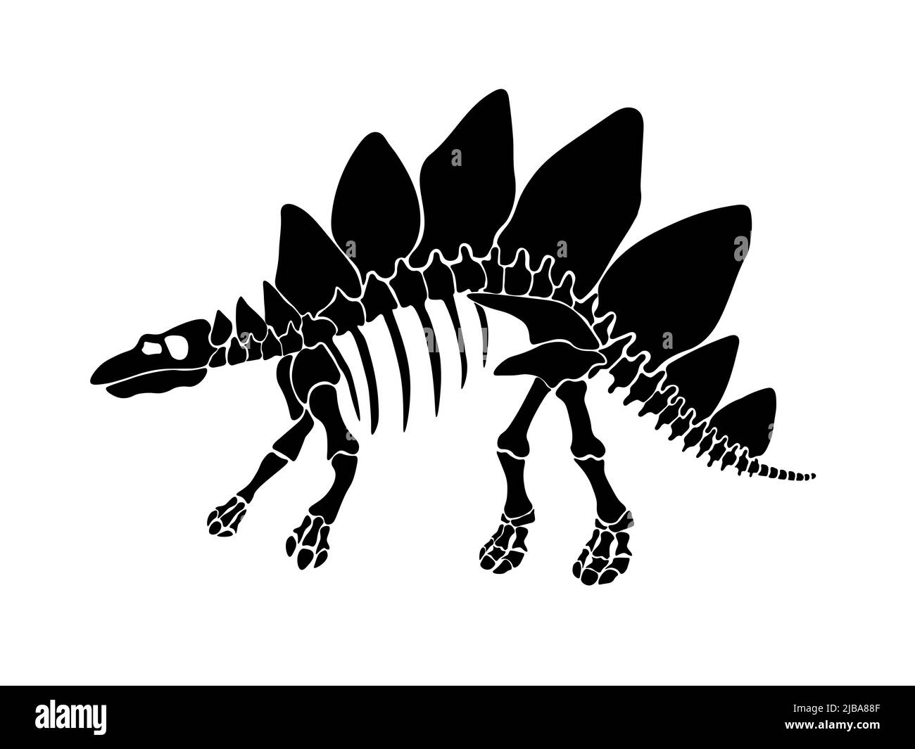 Vector illustration with dinosaur skeleton isolated on a white ...