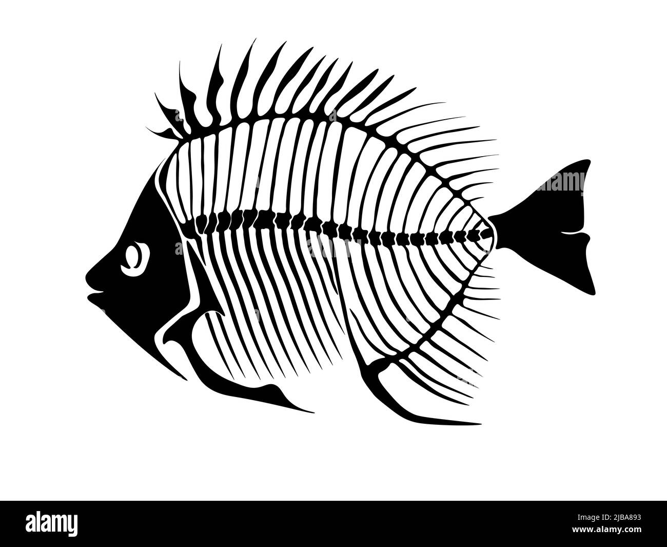 Vector illustration with fish skeleton isolated on a white background ...