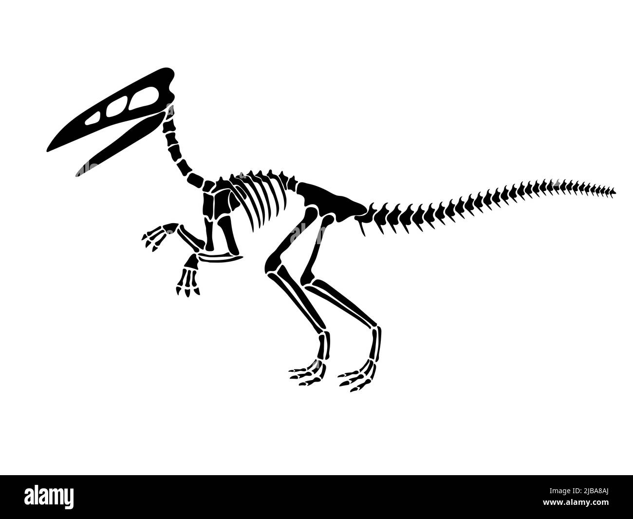 Vector illustration with dinosaur skeleton isolated on a white ...
