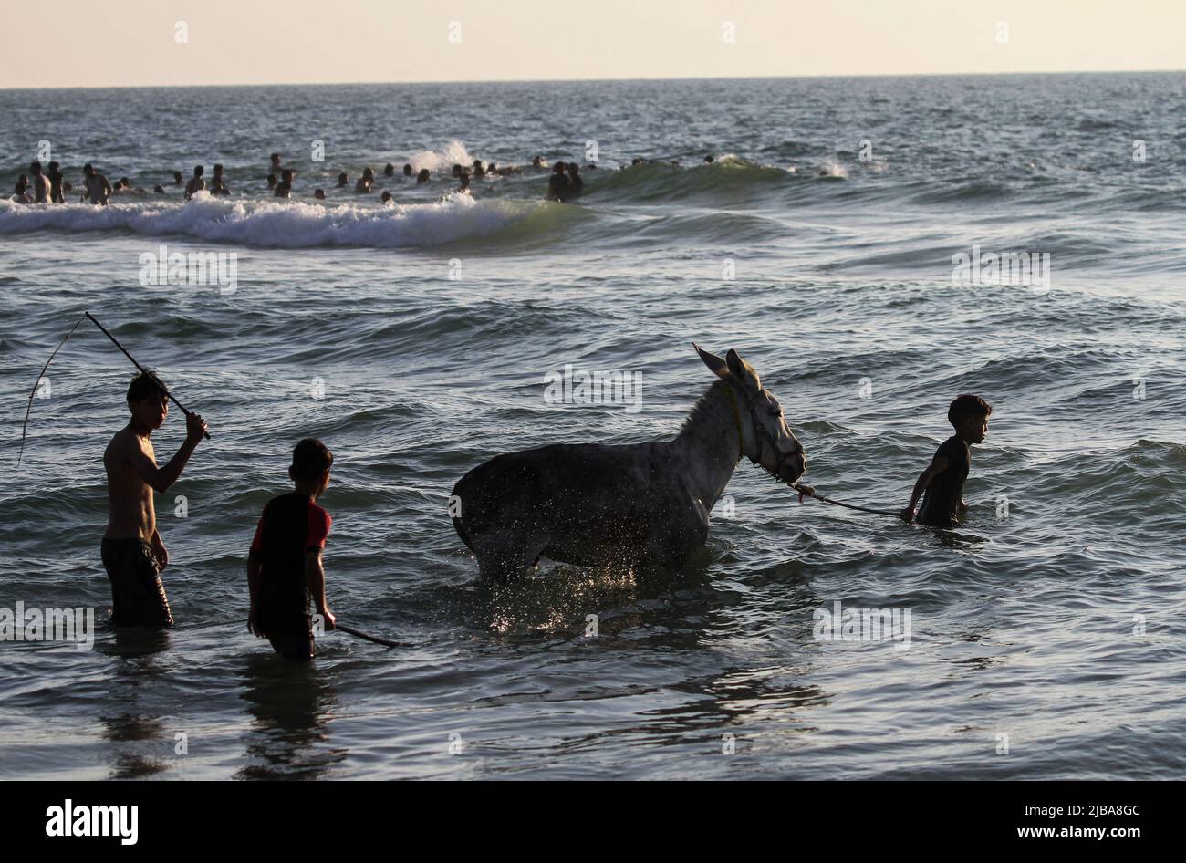 Gaza City, Gaza Strip, Palestine. 3rd June, 2022. Gaza, Palestine. 03 ...