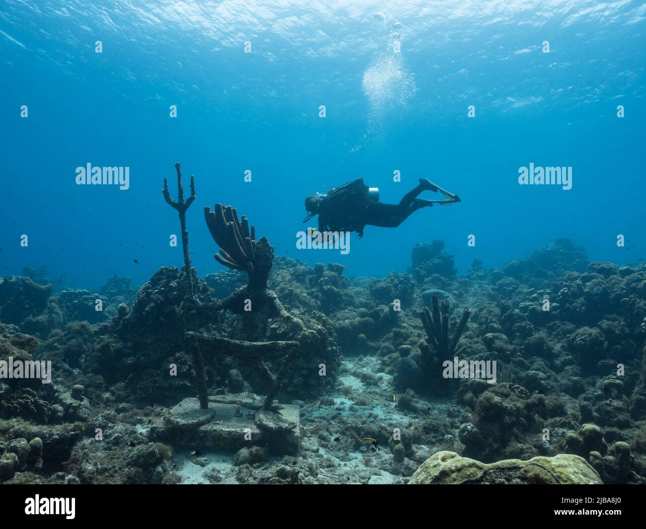 Seascape with Scuba Diver in the coral reef of Caribbean Sea, Curacao ...