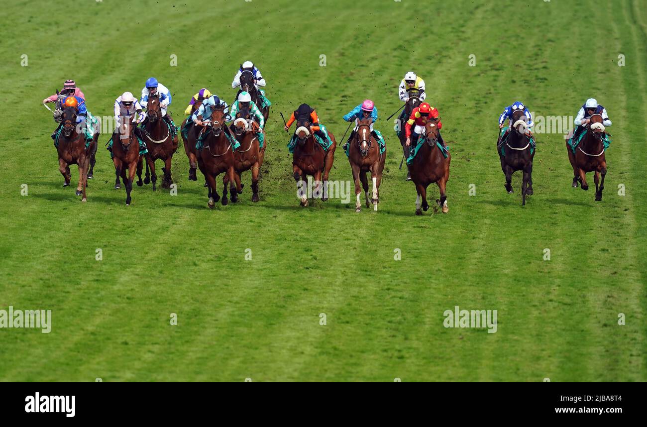 Mr wagyu racecourse hi-res stock photography and images - Alamy