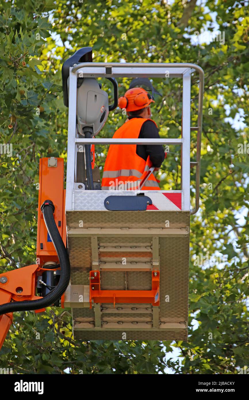 Workers on the working platform during tree cutting or tree maintenance ...