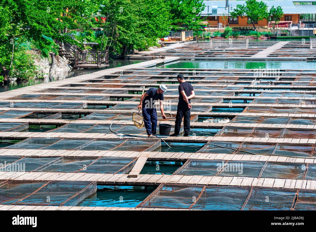 Dagestan, Russia - May 13, 2022: workers at a fish farm maintain ...