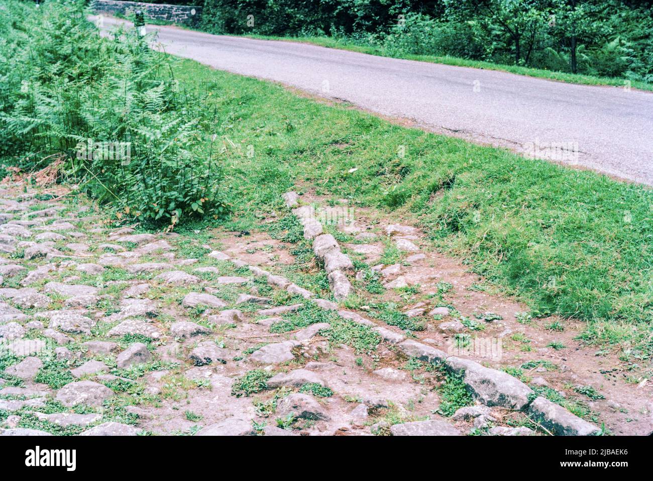 Blackpool Bridge Road - 8ft wide remains of the second class Roman road ...