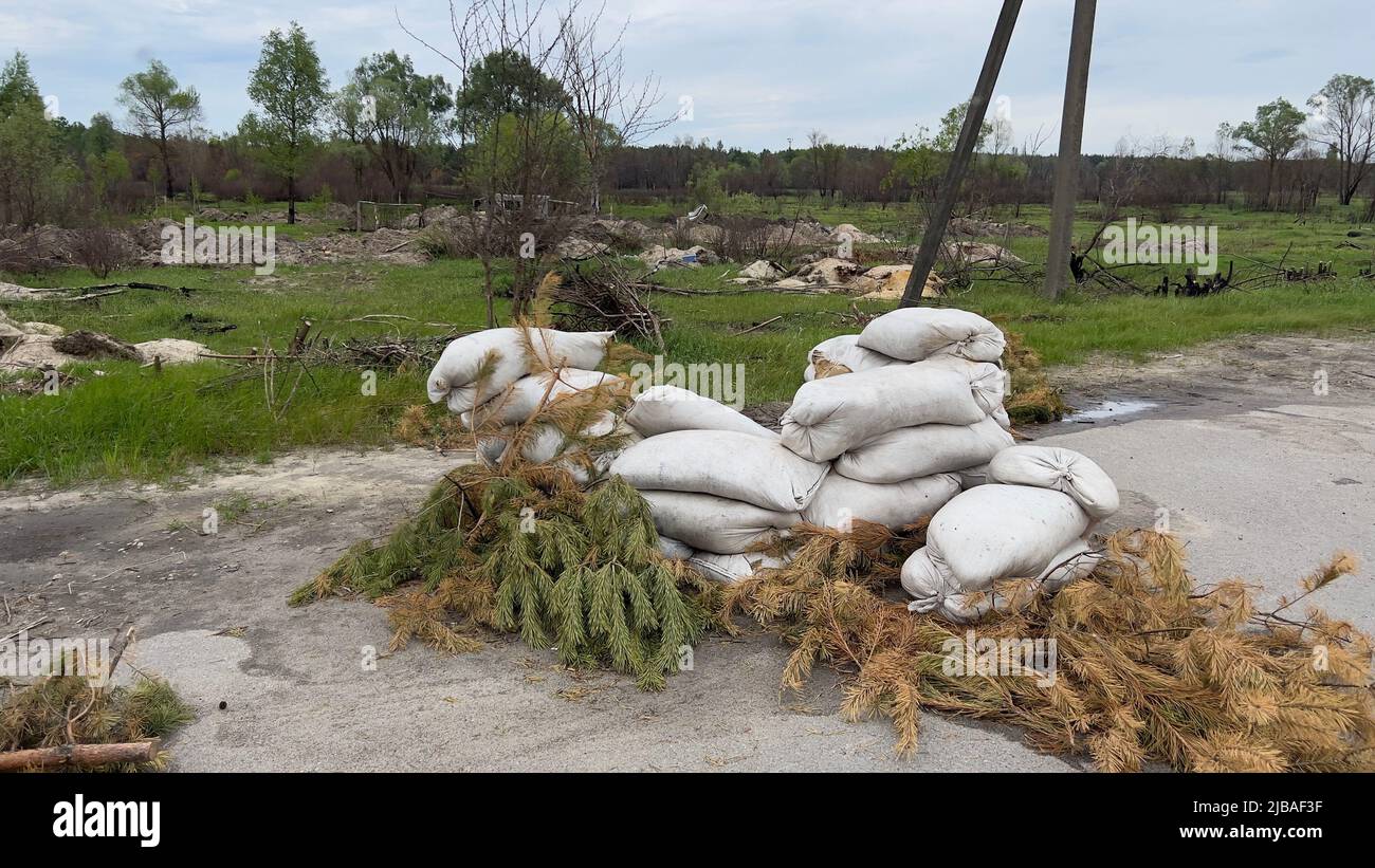Chernobyl Red Forest Animals