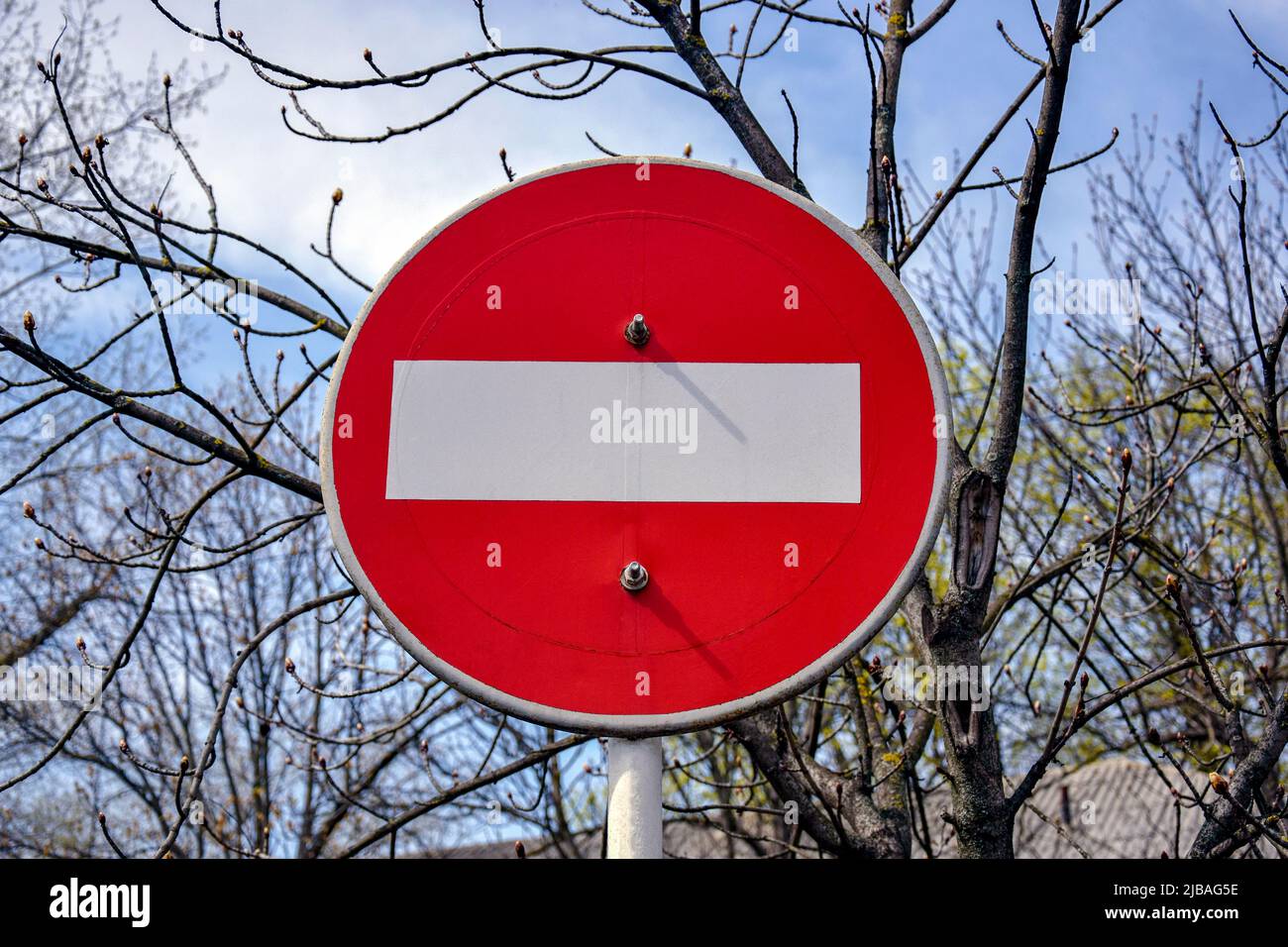 Traffic is prohibited, road sign on background tree branches and blue ...