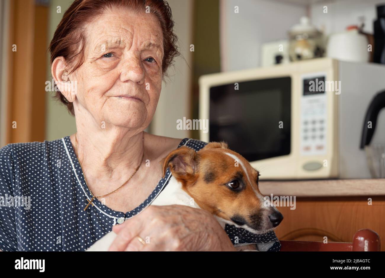Elderly hands dog hi-res stock photography and images - Alamy
