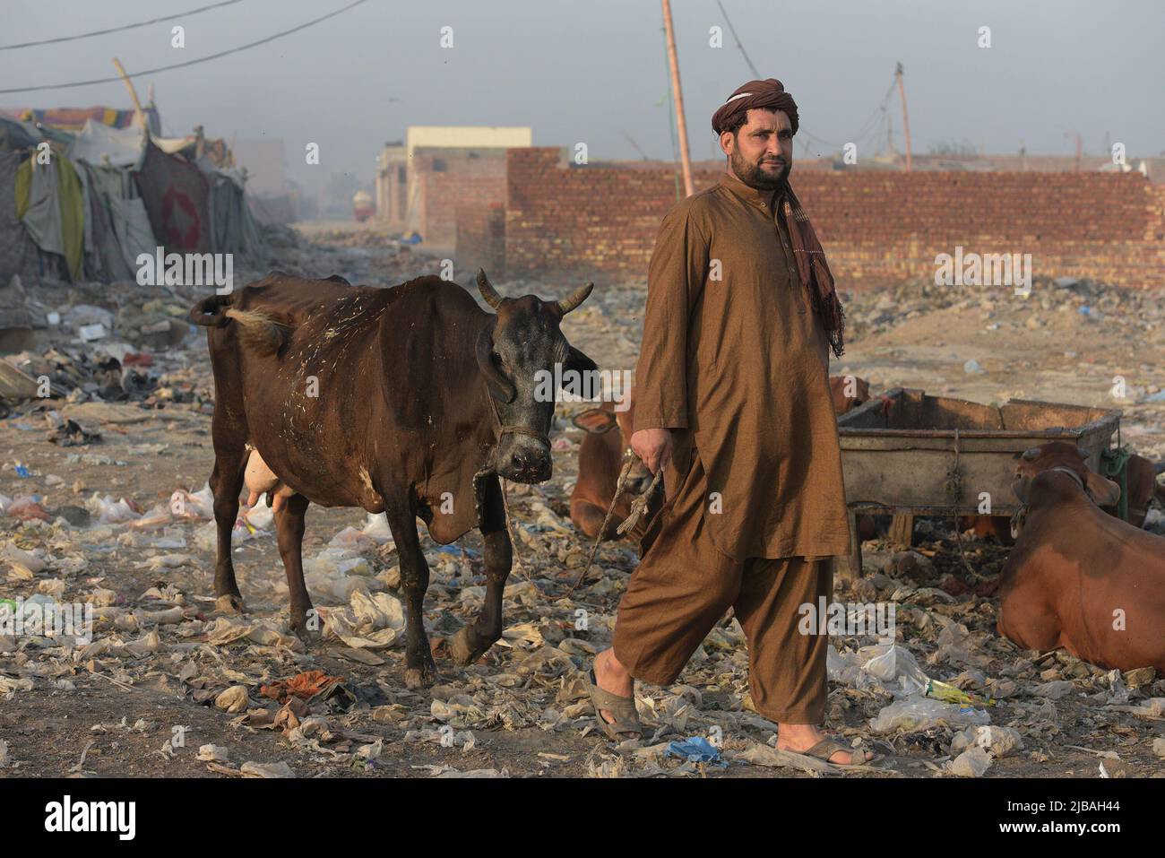 Pakistani people busy in their routine work near a garbage dump site ...