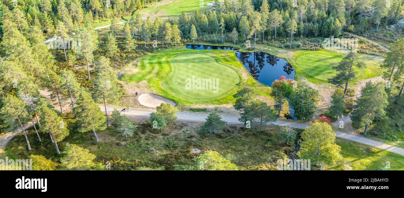 Aerial panorama view on golf course in Northern forest. Unidentified ...