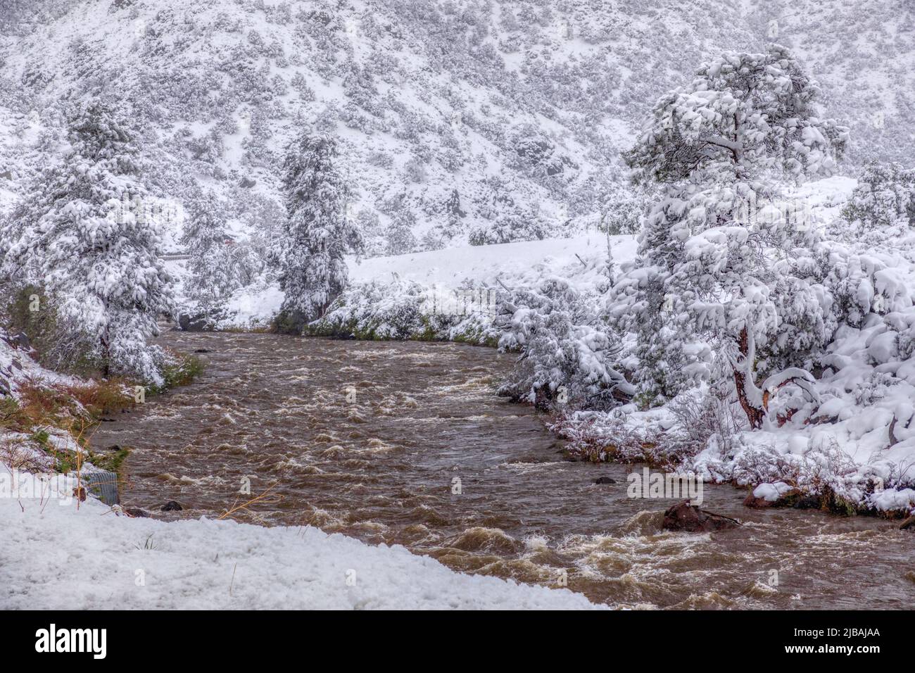 Spring Snow Storm in Canon Country of Colorado Stock Photo - Alamy