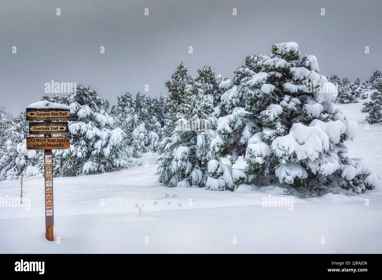 Spring Snow Storm in Canon Country of Colorado Stock Photo - Alamy