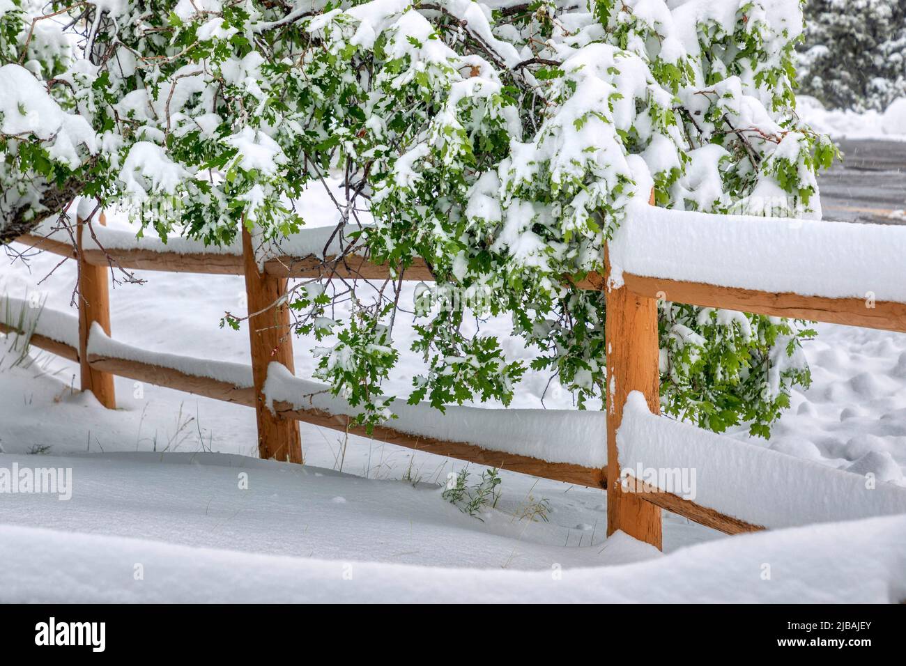 Winter snow in the Colorado Landscape Stock Photo - Alamy