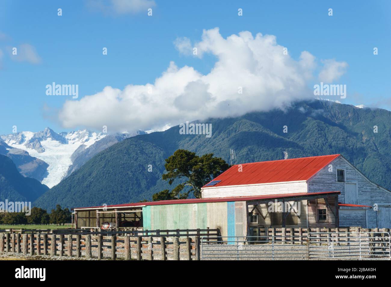 Farm building with red roof and stock yards beyond rural road and fence ...