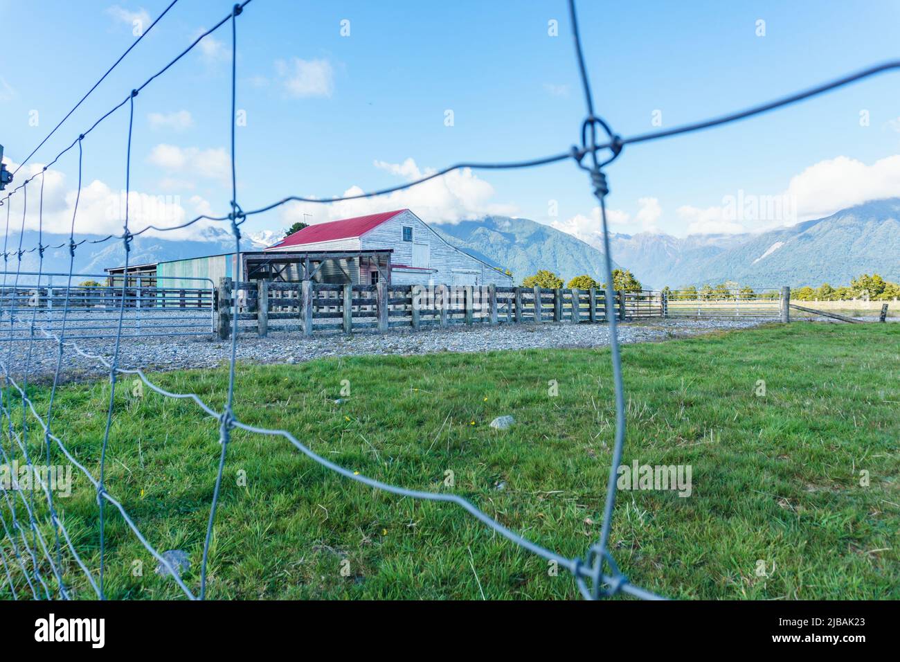 typical New zealand farm scene and distant building, shed with red roof ...
