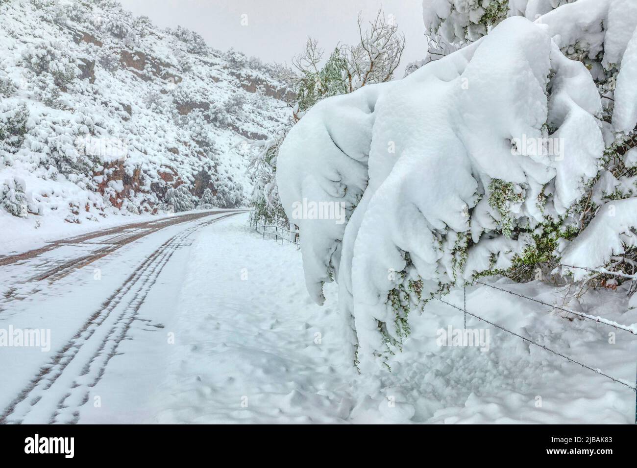 Spring Snow Storm in Canon Country of Colorado Stock Photo - Alamy