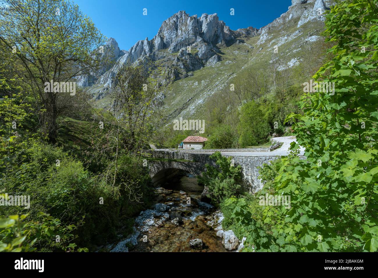 Old bridge in the river Duje. Tielve. Asturias. Spain Stock Photo - Alamy