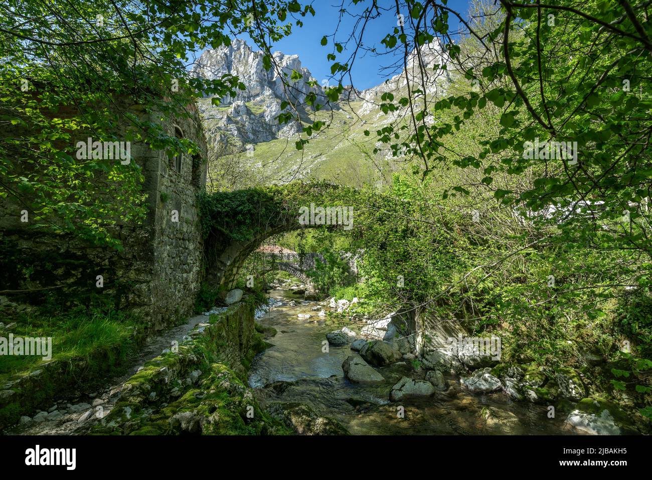Old bridge in the river Duje. Tielve. Asturias. Spain Stock Photo - Alamy