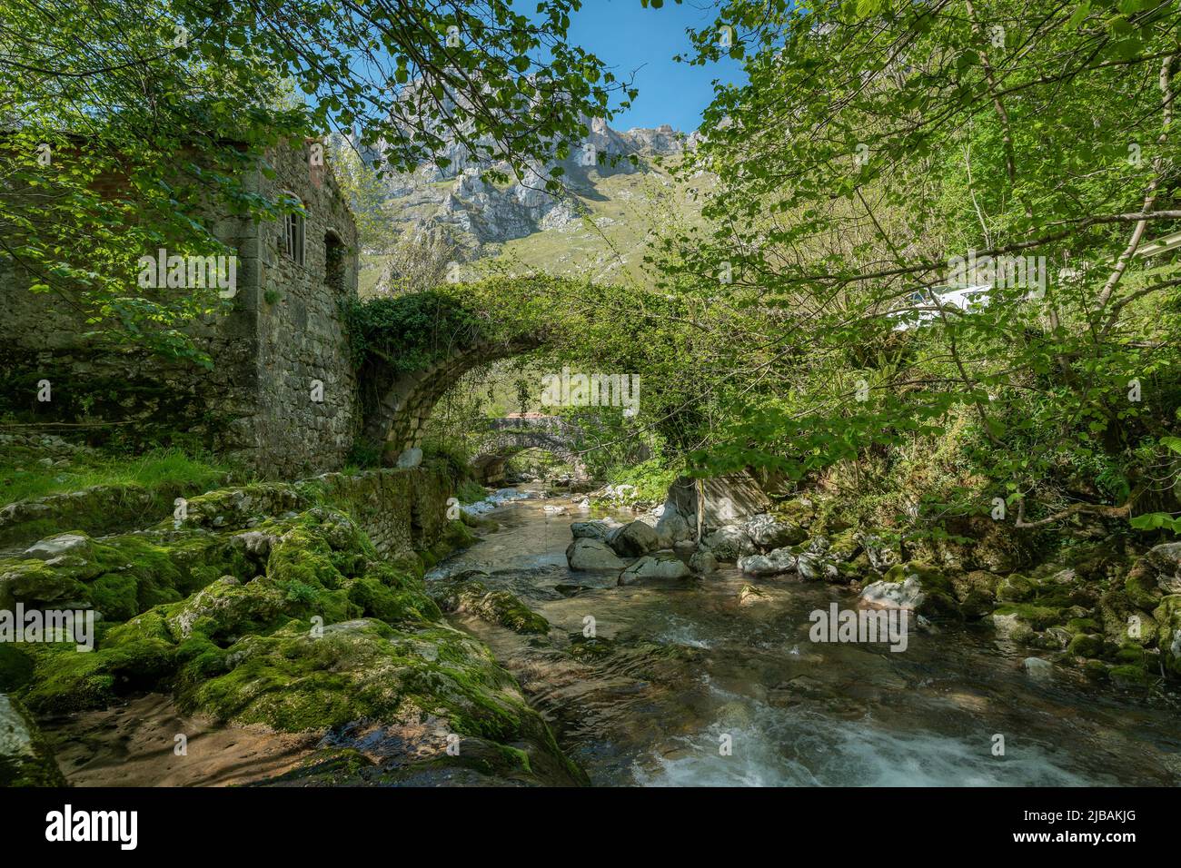 Old bridge in the river Duje. Tielve. Asturias. Spain Stock Photo - Alamy