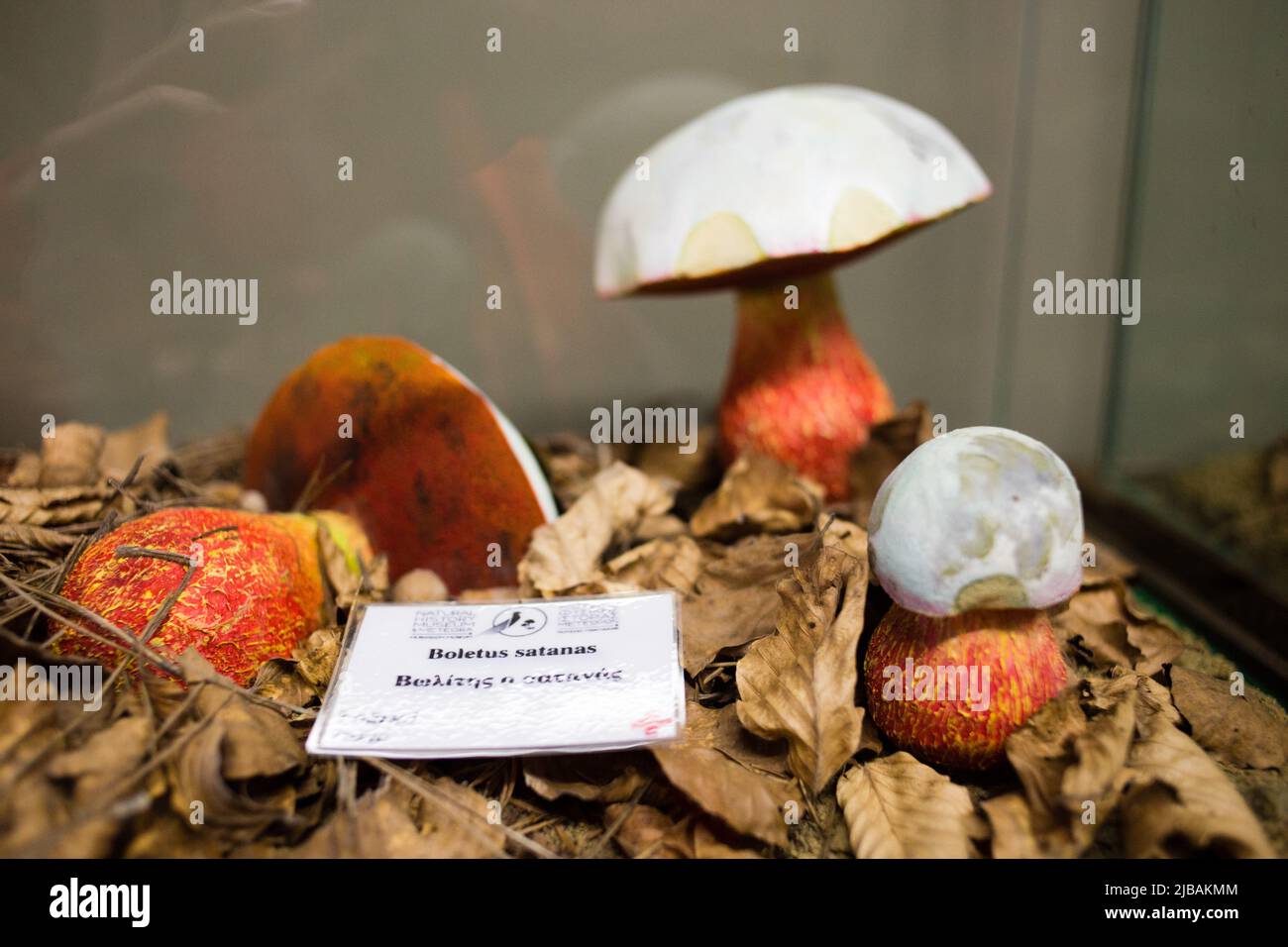 Scenes from Meteora, Greece Stock Photo - Alamy