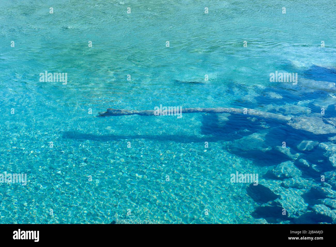 River pond of shallow water with rocks and branch with rippled surface ...
