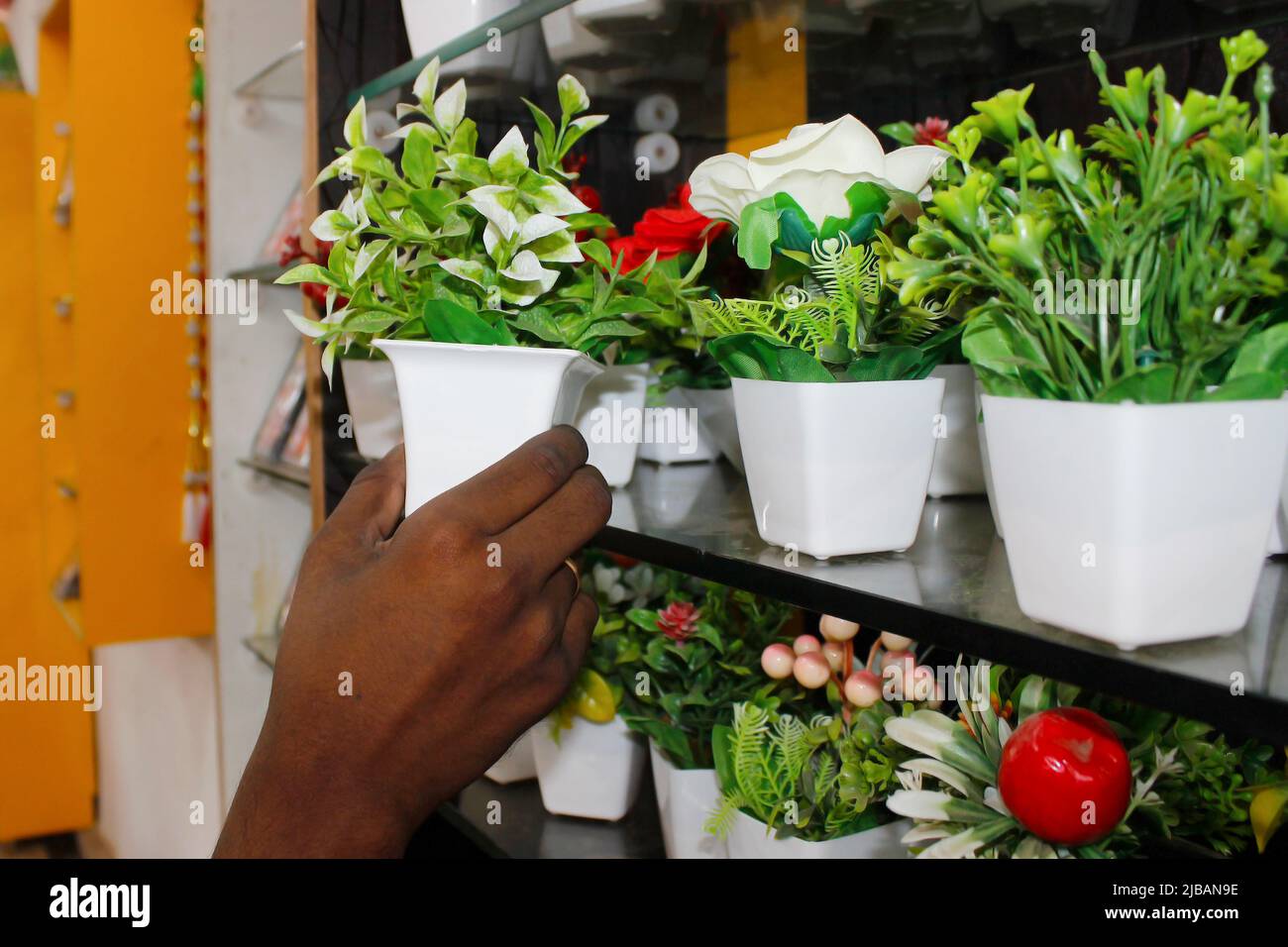 Taking plant in pot hi-res stock photography and images - Alamy