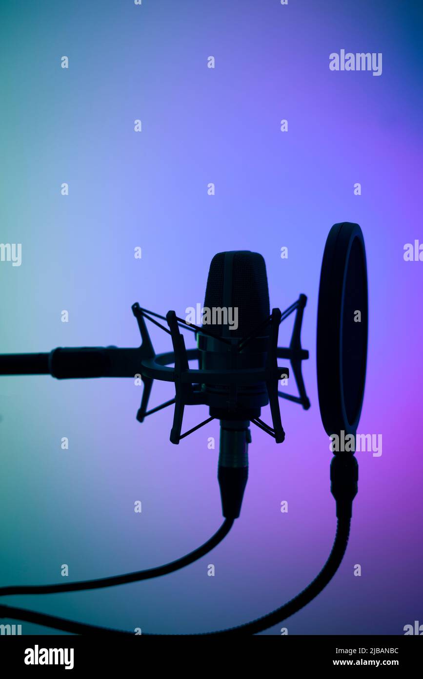 Voiceover studio large diaphragm cardioid microphone in professional ...