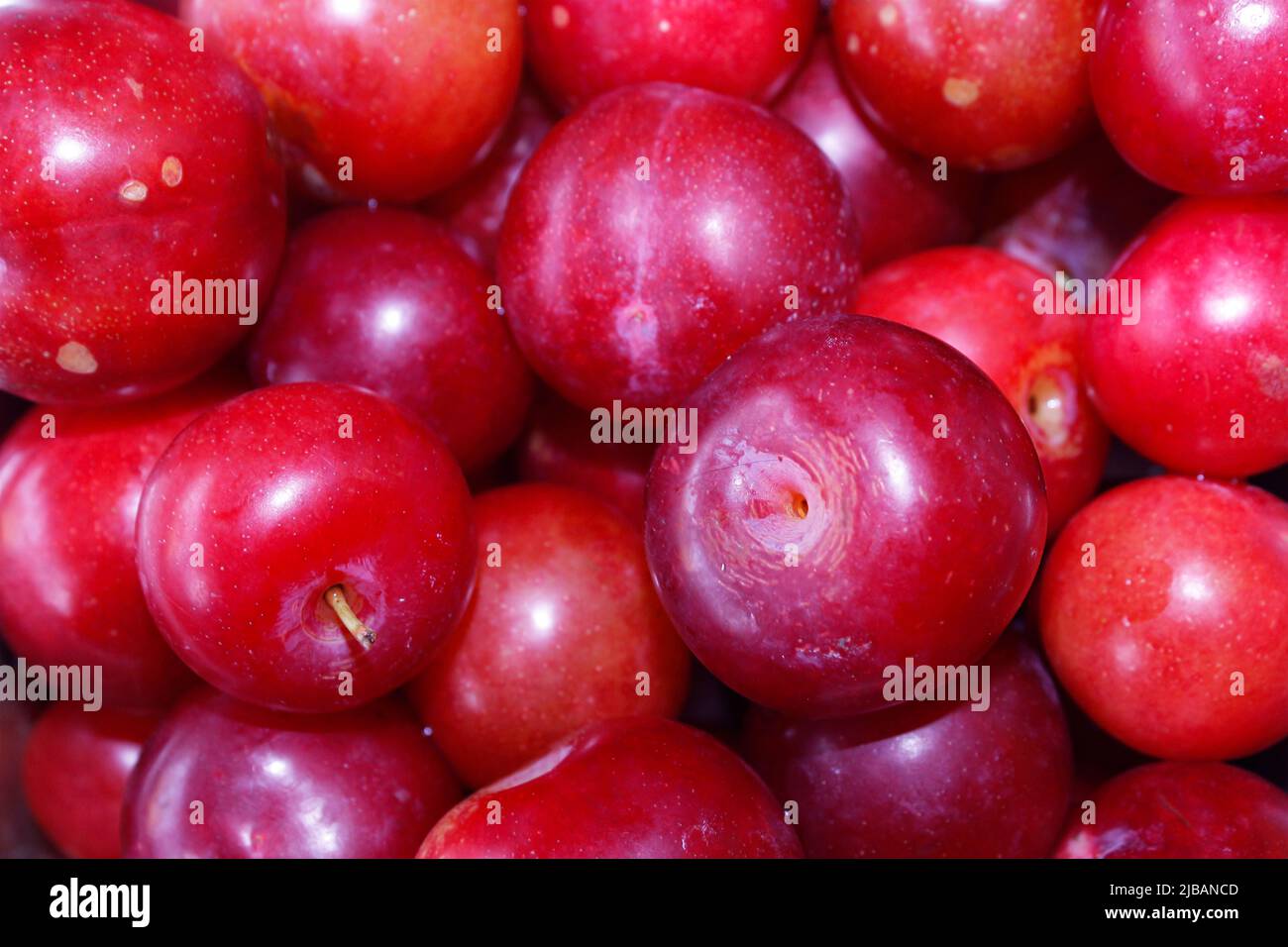 Cherry plum fruits hi-res stock photography and images - Alamy