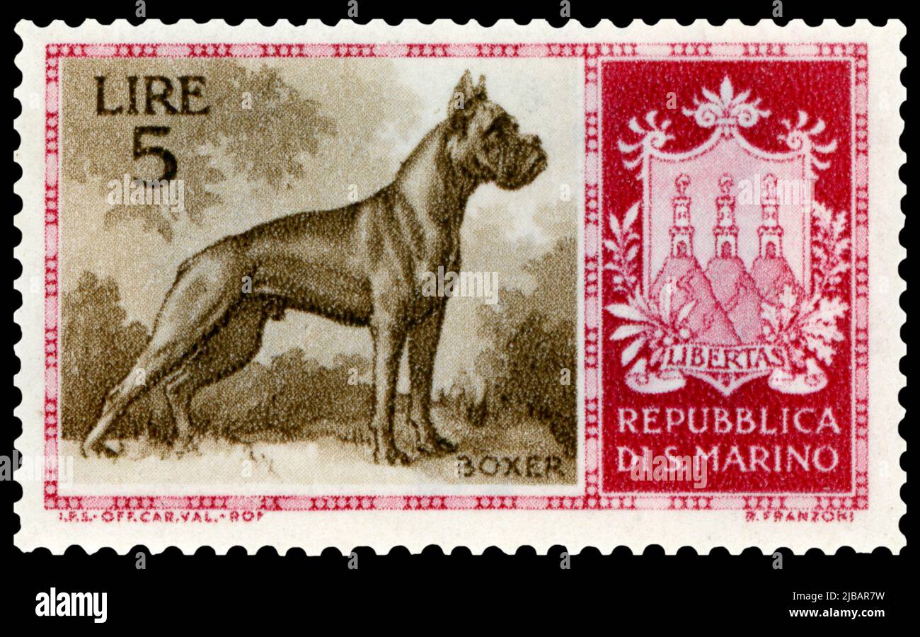 Boxer Dog Breed on 1956 San Marino Postage Stamp Stock Photo - Alamy