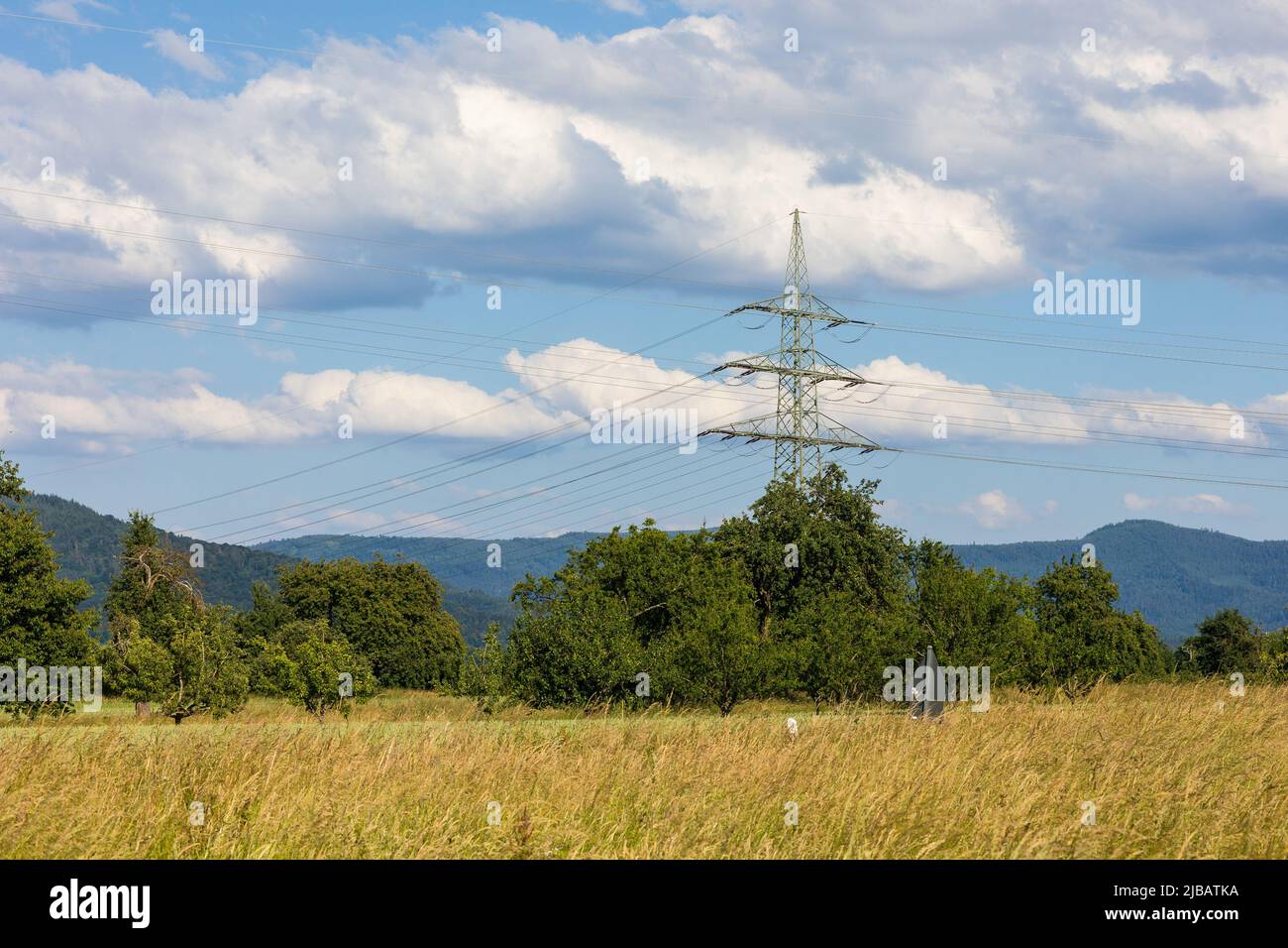 Electrical net of poles on a panorama of blue sky and green meadow ...