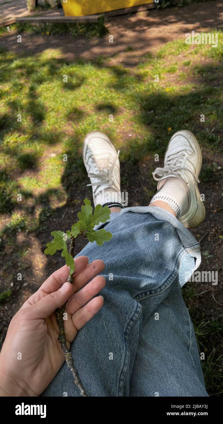 Female hand holding oak branch with feet at the background Stock Photo ...