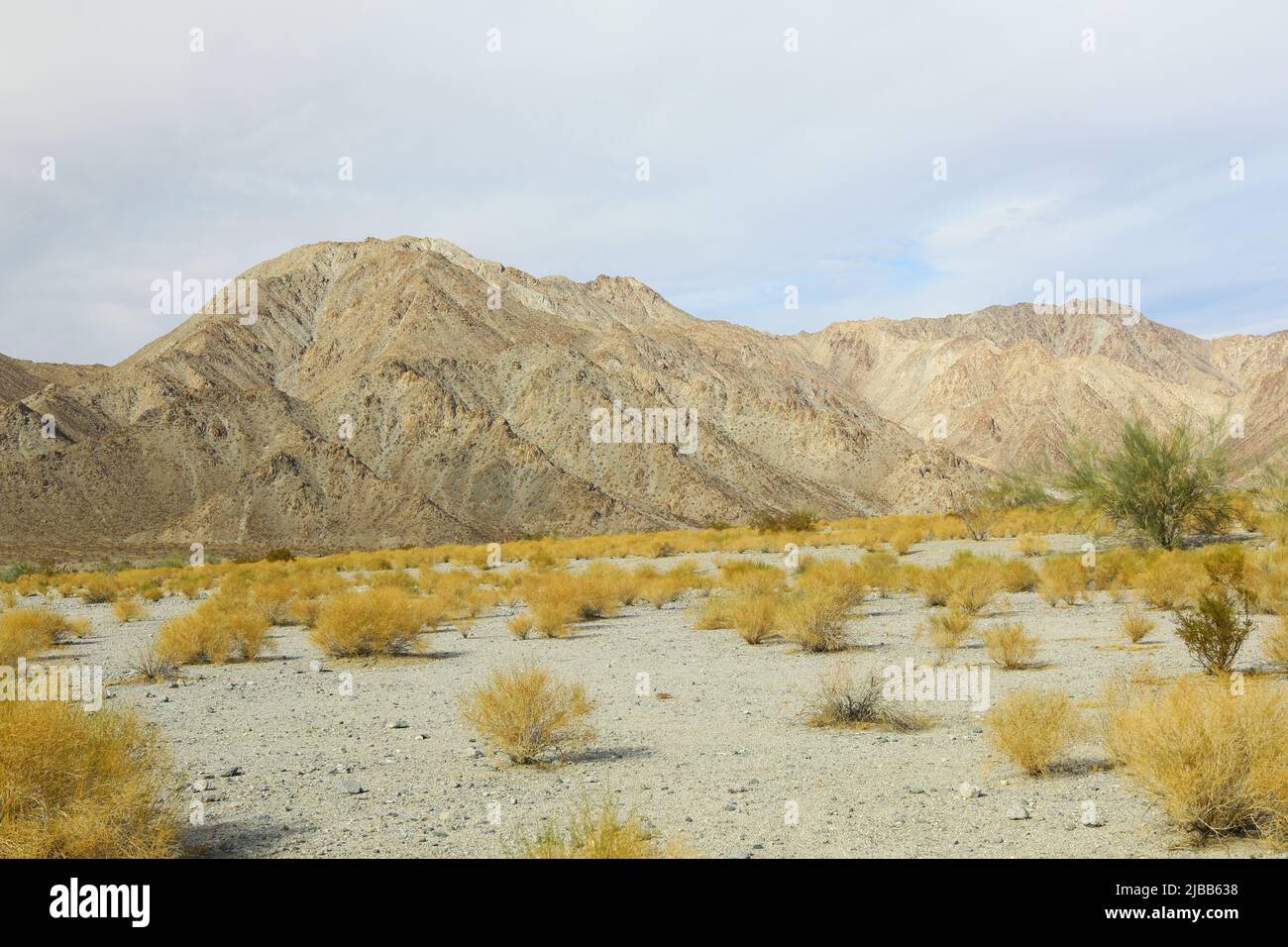 Winter scenery at desert Cove Oasis by La Quinta California, Trailhead ...
