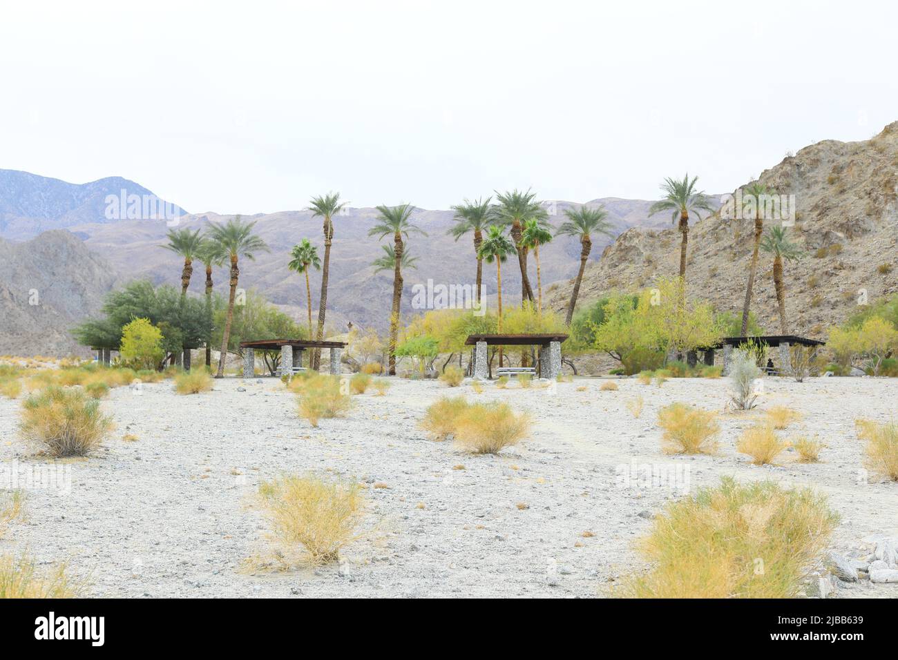 Winter scenery at desert Cove Oasis by La Quinta California, Trailhead ...