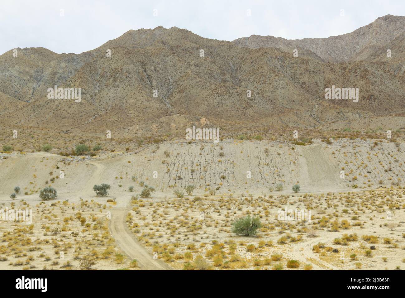 Winter scenery at desert Cove Oasis by La Quinta California, Trailhead ...