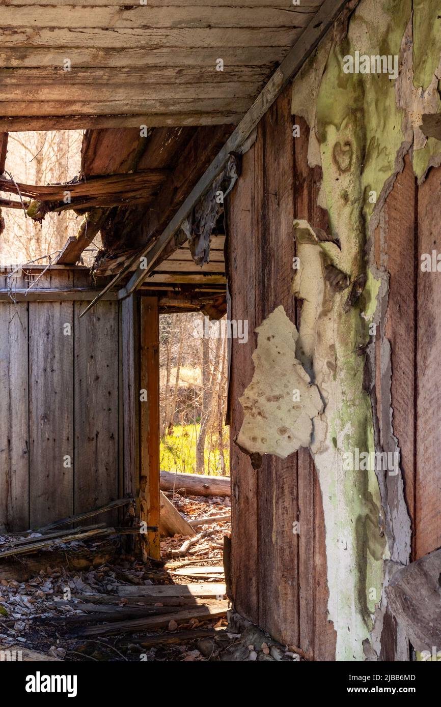 Bodie, WA - USA - 05-11-2022: Wall Paper Peels away in this long empty ...