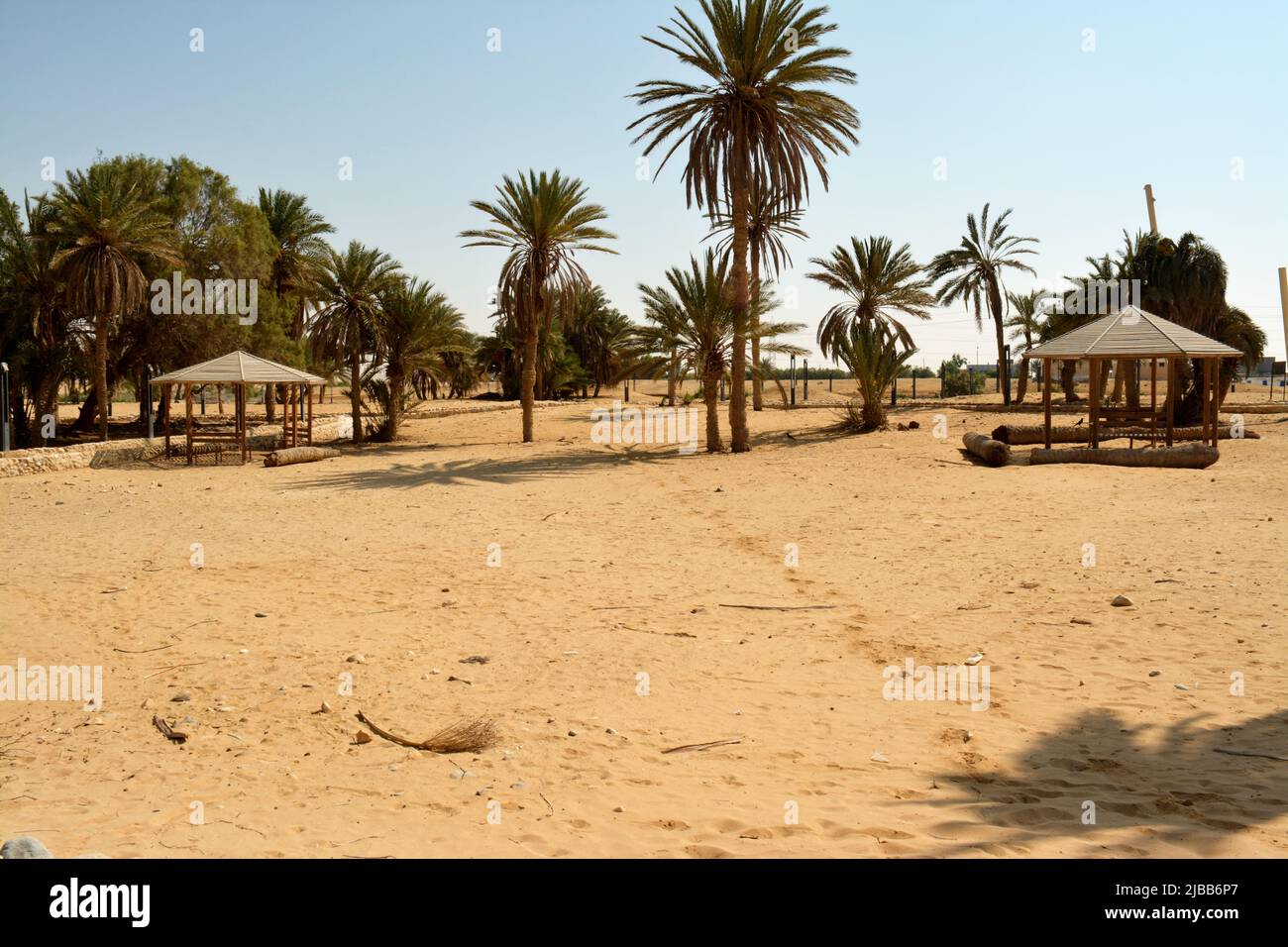 Prophet Moses Springs, Water wells and palms in Sinai Peninsula, Ras ...