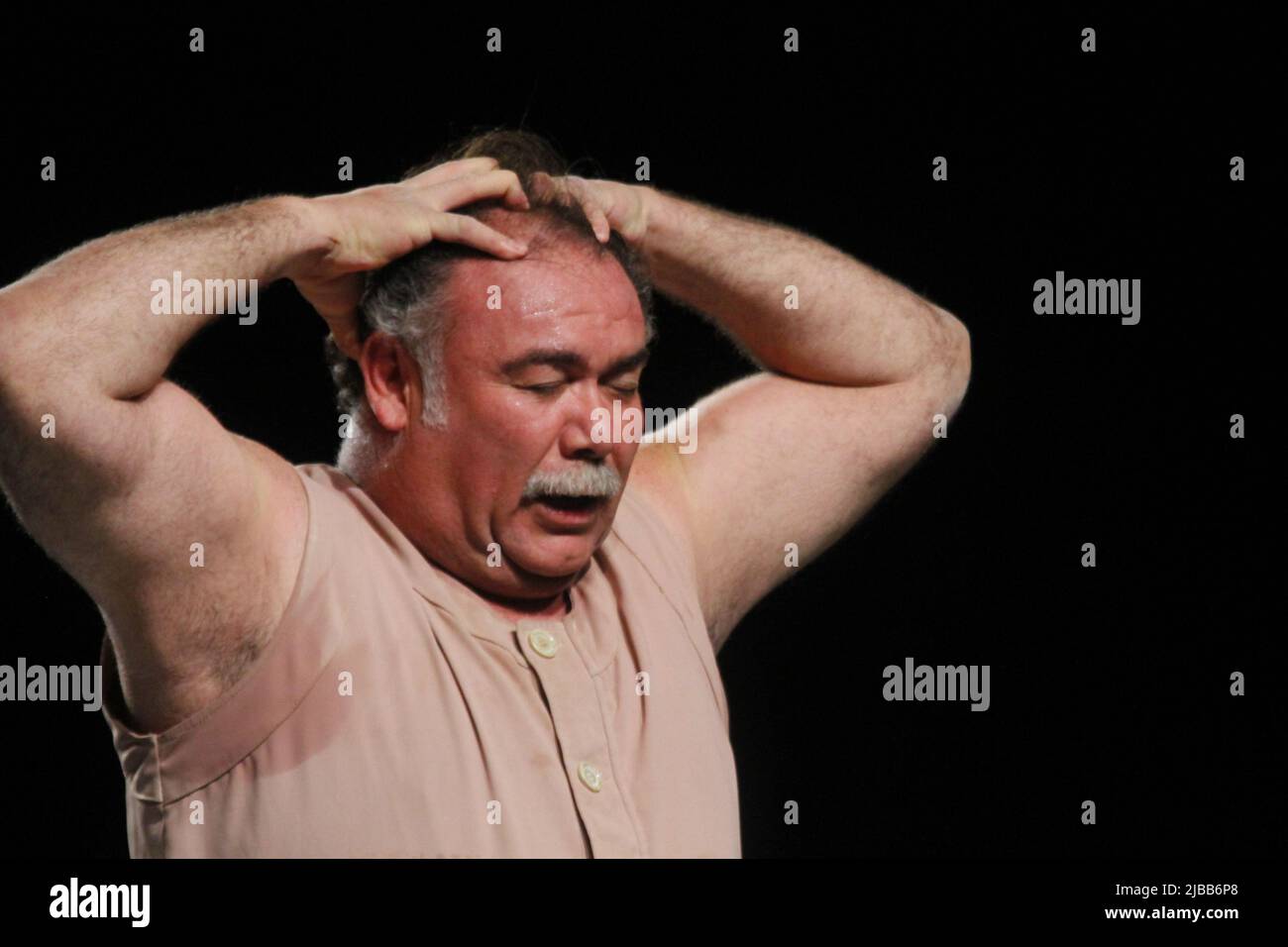 Obra "El Cerdo" con el actor Jesús 'El Choby' Ochoa inicio gira en su ...