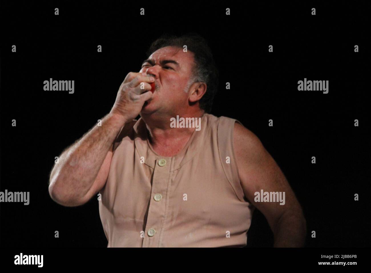 Cerdo tierra hi-res stock photography and images - Alamy