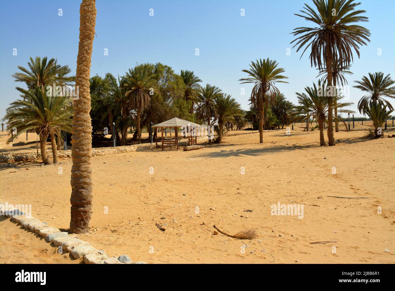 Prophet Moses Springs, Water wells and palms in Sinai Peninsula, Ras ...