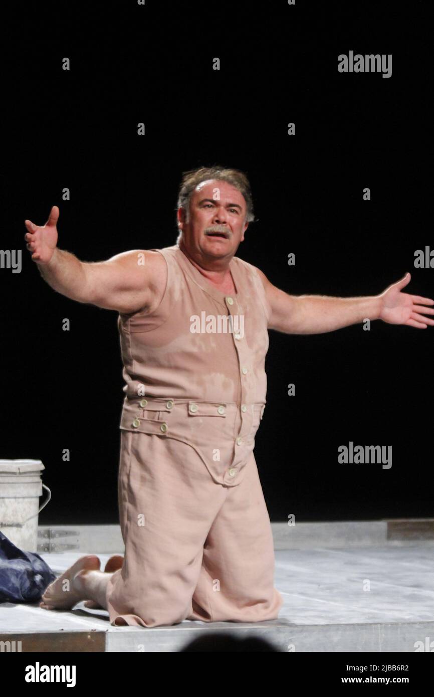 Cerdo tierra hi-res stock photography and images - Alamy