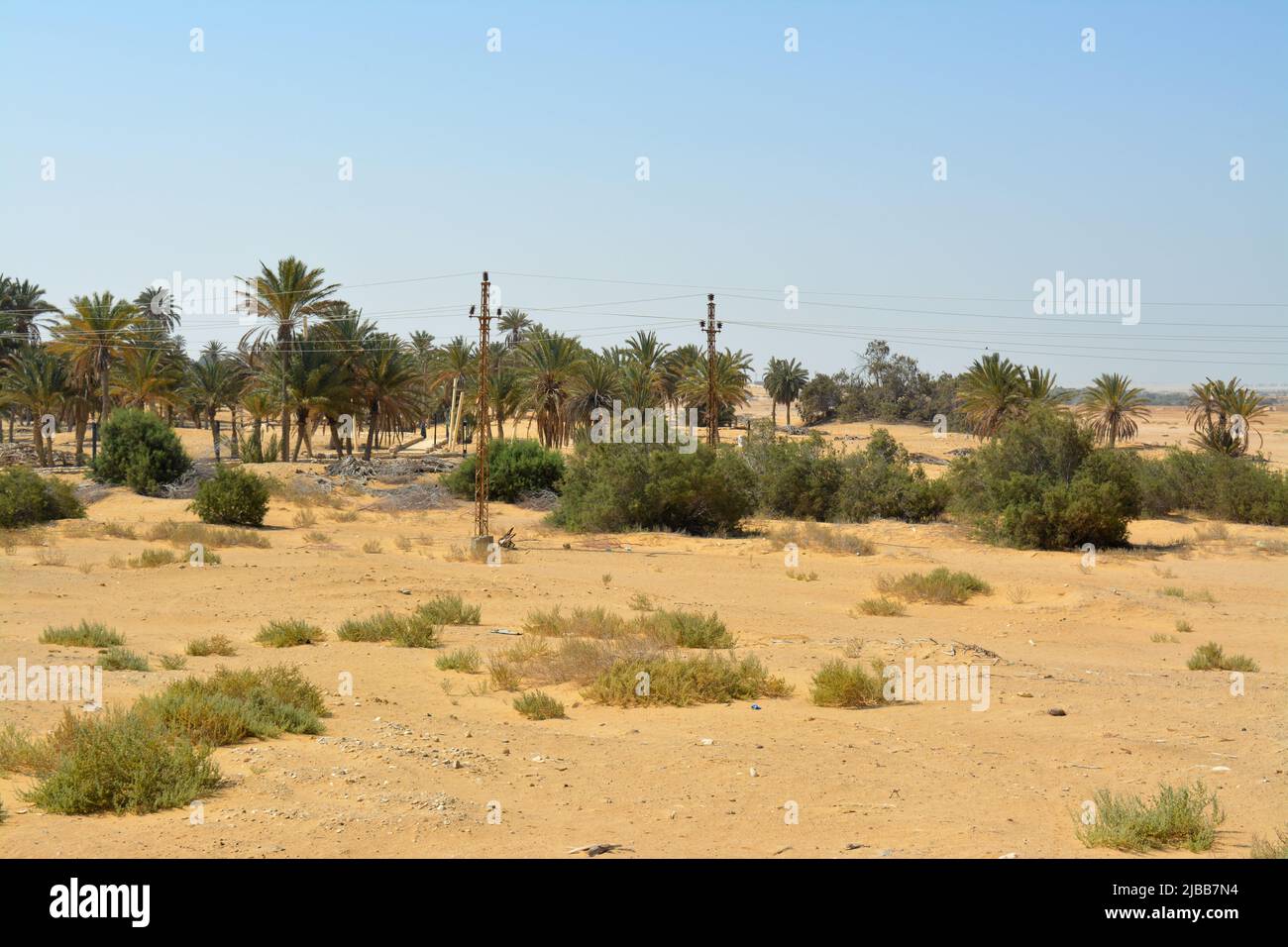 Prophet Moses Springs, Water wells and palms in Sinai Peninsula, Ras ...