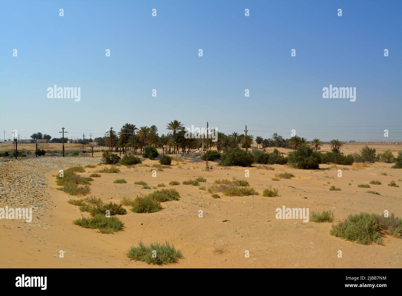 Prophet Moses Springs, Water wells and palms in Sinai Peninsula, Ras ...