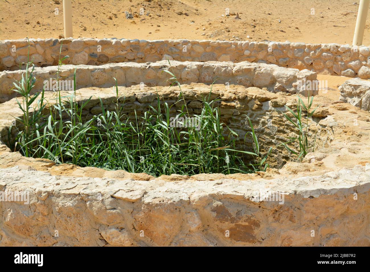 Prophet Moses Springs, Water wells and palms in Sinai Peninsula, Ras ...
