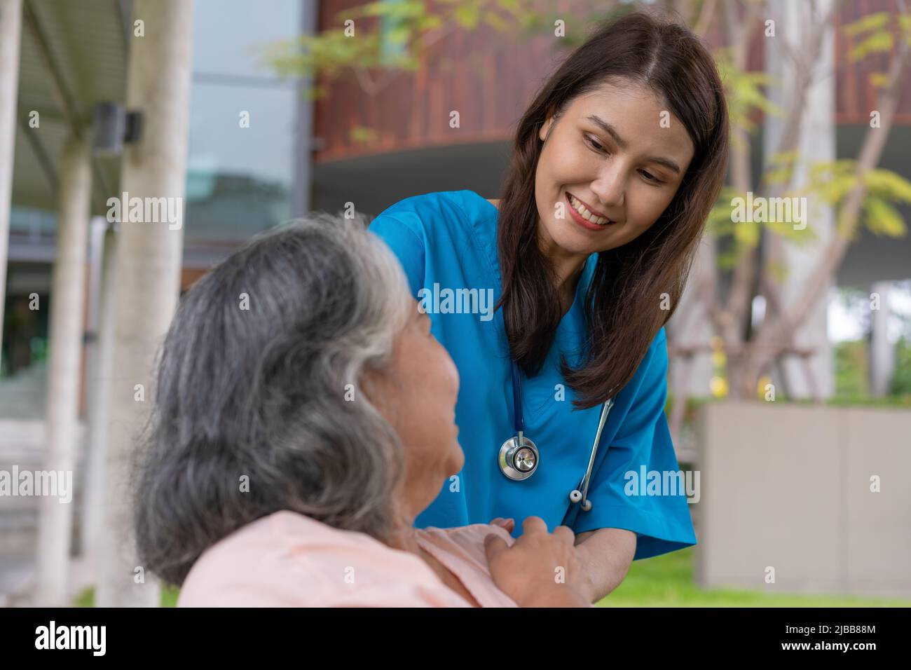 Asian careful caregiver or nurse taking care of the patient in a ...