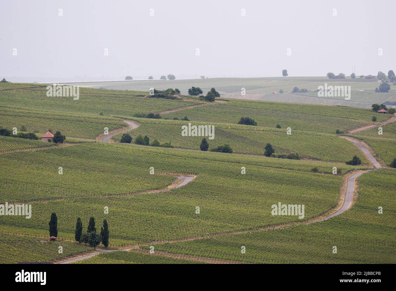 Volkach, Germany. 03rd June, 2022. Paths wind through the vineyards in ...