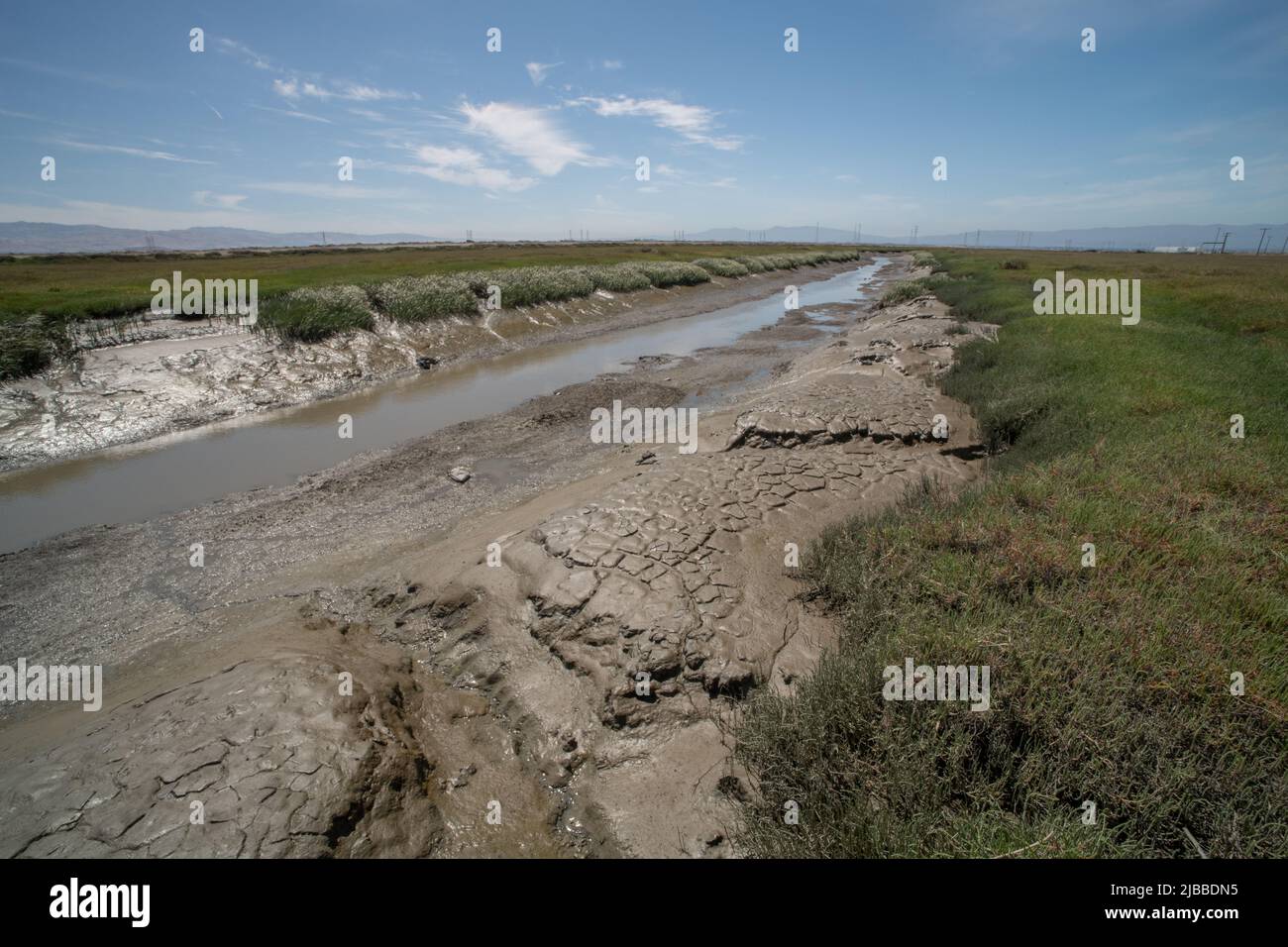 A channel in the coastal salt marsh ecosystem in the San Francisco Bay ...