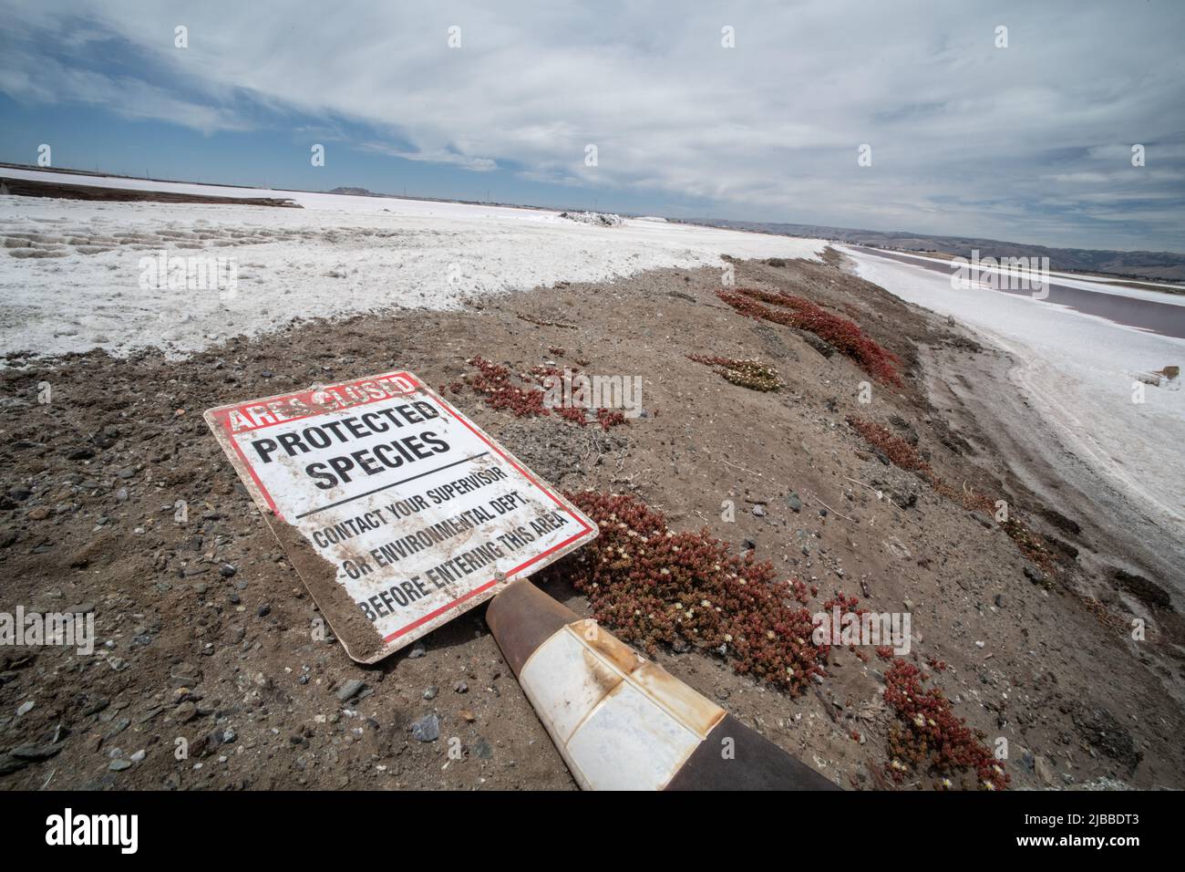A fallen sign warning of endangered and protected species in the area ...
